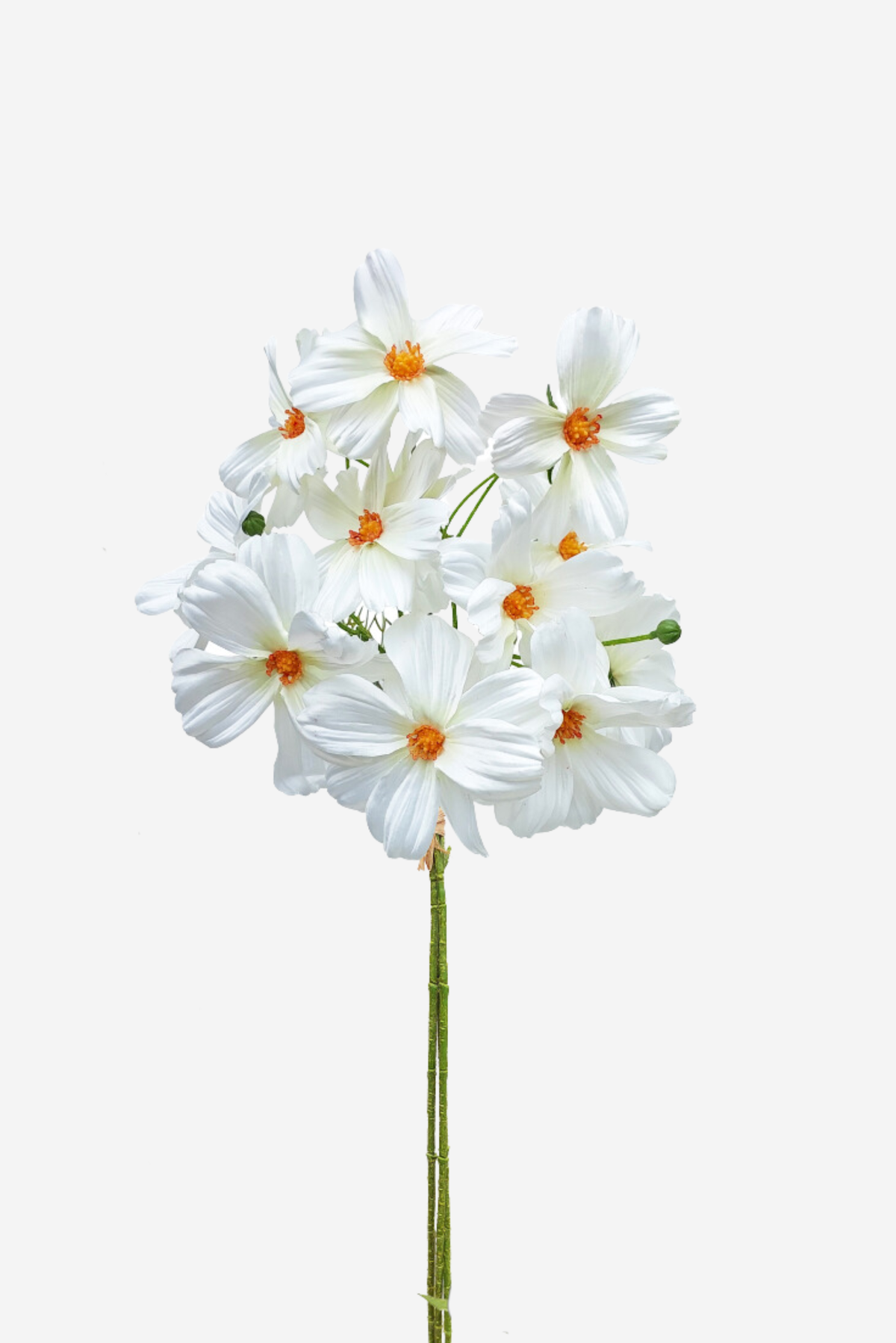 Cosmos Bunch - White– 101 Home